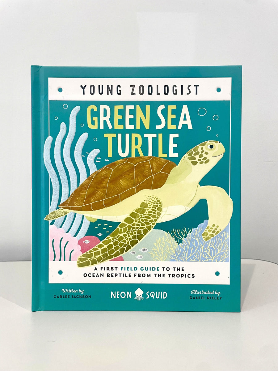 Green Sea Turtle Children's Book – Jekyll Island Online Store